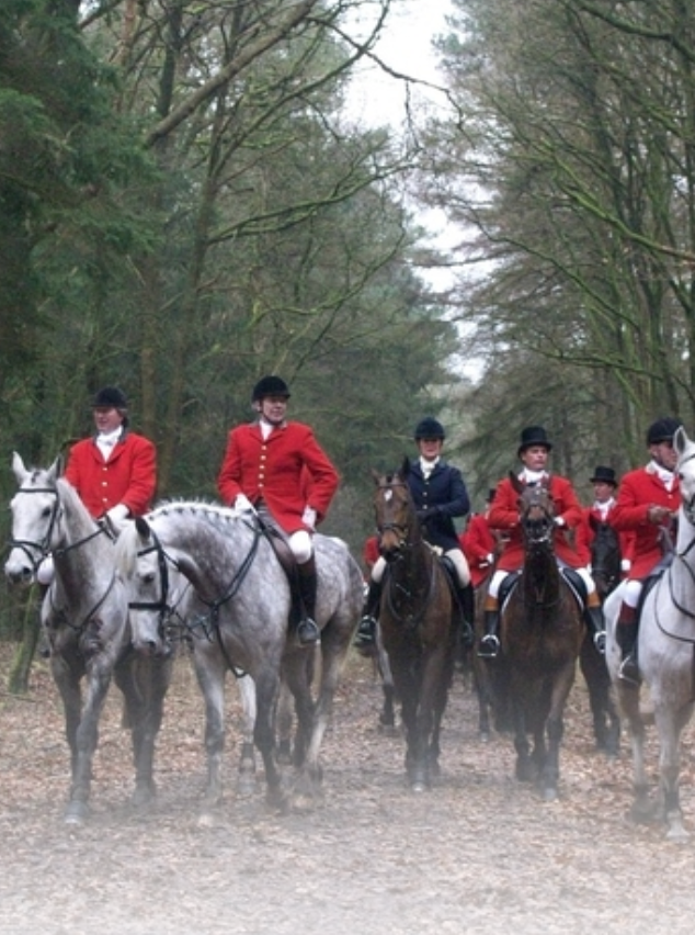 What is Foxhunting? – Manhattan Riding Club
