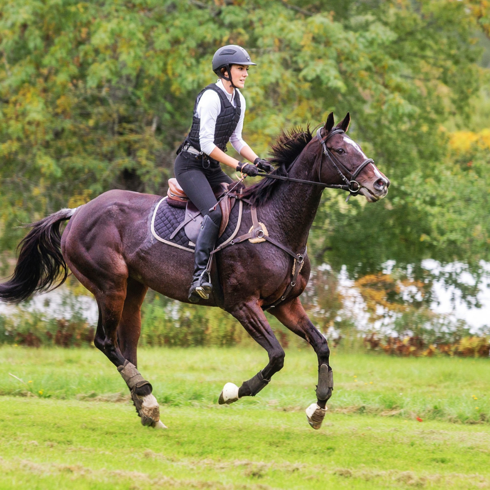 Evaluating Your Horse Riding Ability – Manhattan Riding Club