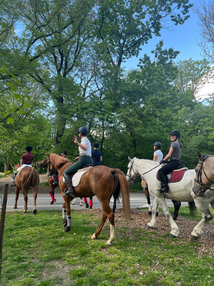 The Brooklyn Hack – Manhattan Riding Club
